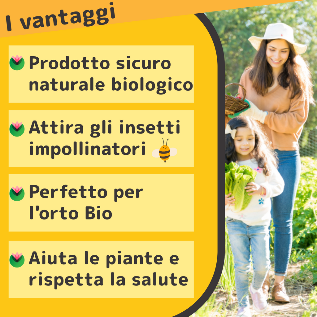 Propoli BIOPROLE 1KG | Corroborante Per piante | Aiuto per la pianta c ...